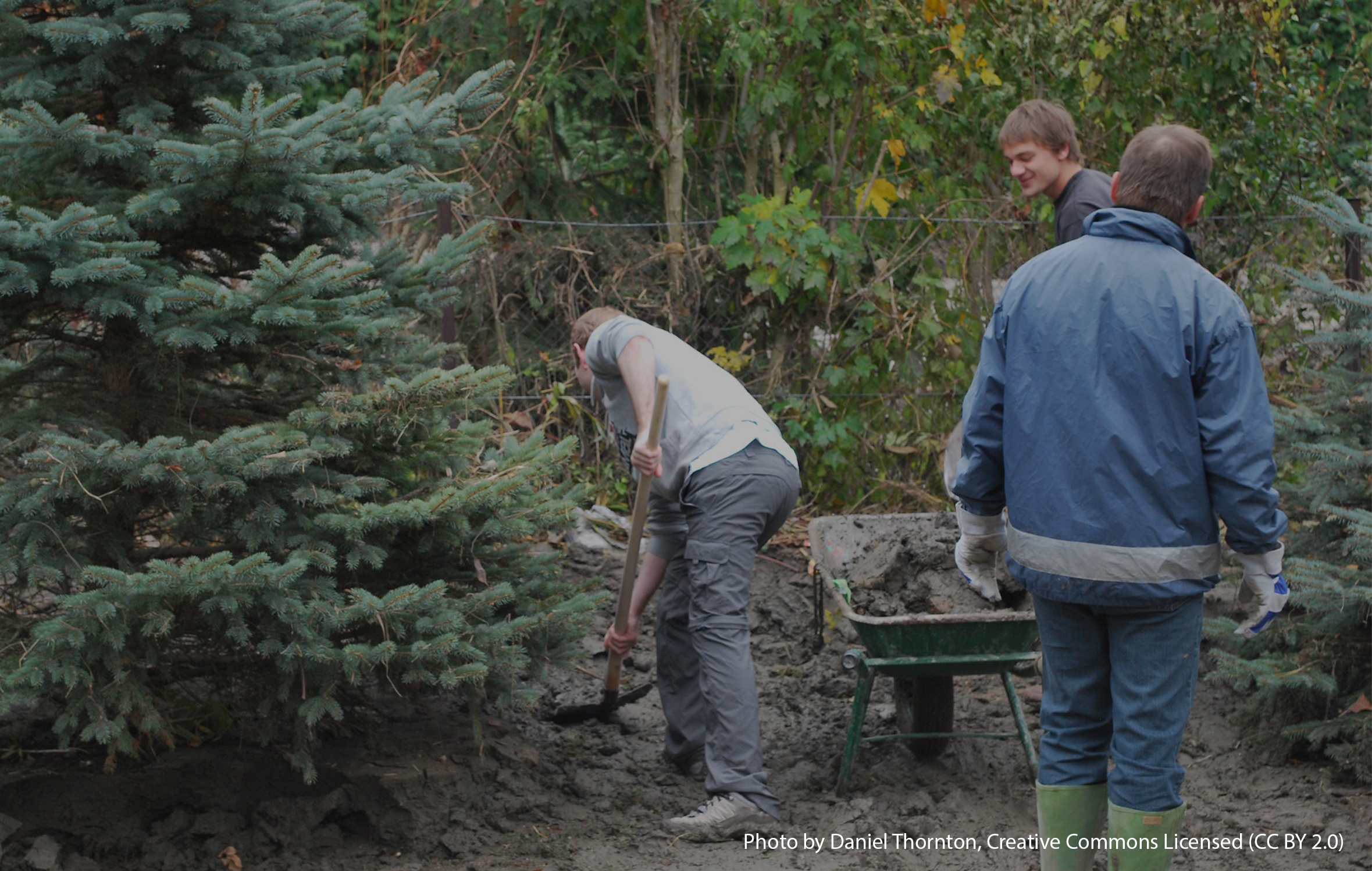 Improving our Understanding of the Non-profit Sector - ESCoE : ESCoE