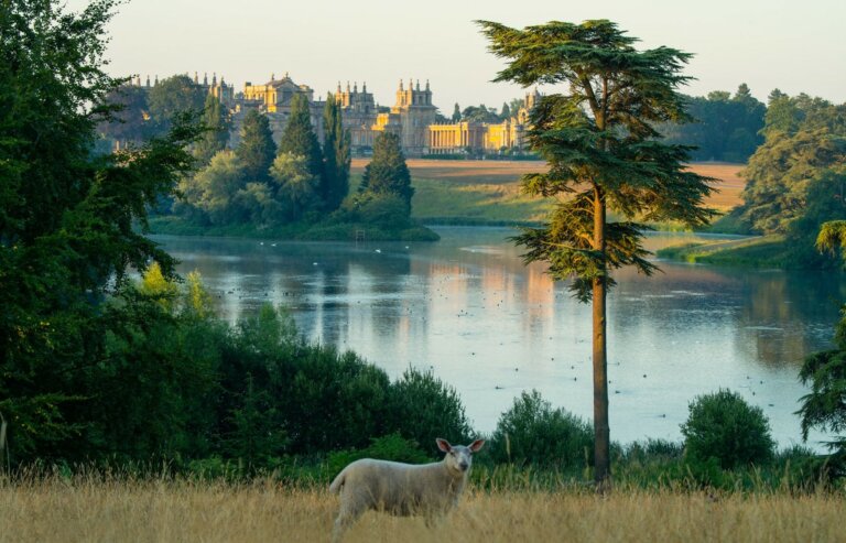 Economic Statistics Centre of Excellence - ESCoE : ESCoE