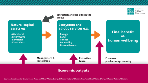 Measuring and estimating shadow prices - ESCoE : ESCoE