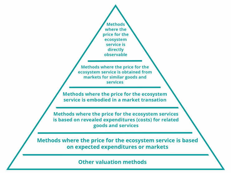Putting a price on nature: Rethinking Water Ecosystem Accounting ...